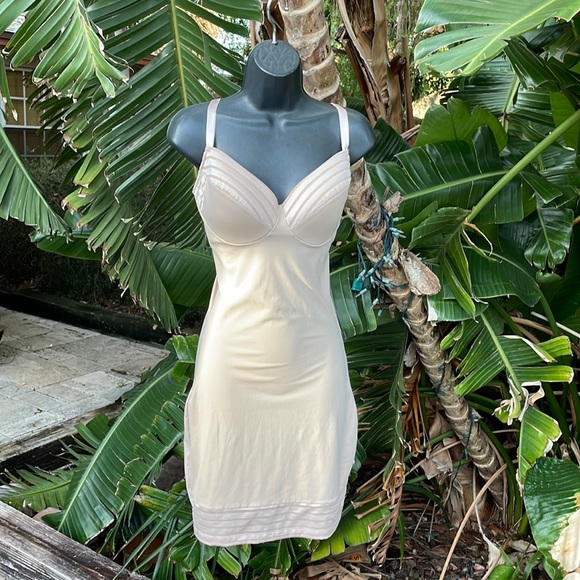 SPANX | Intimates & Sleepwear | Spanx Assets Control Slip | Poshmark